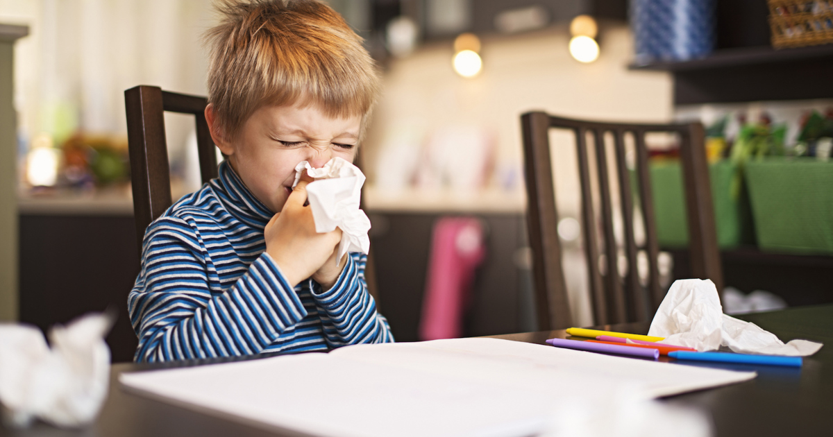 Corrimento nasal: 6 remédios caseiros para o nariz a pingar - Colhogar