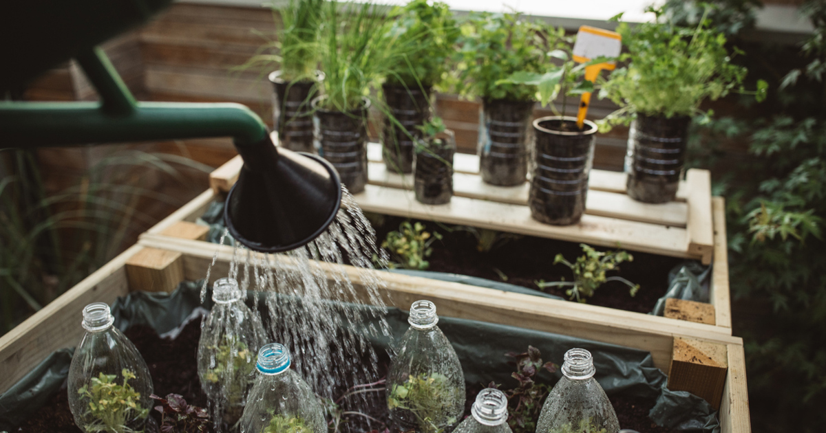Reducir, reutilizar y reciclar: definición y consejos - Colhogar